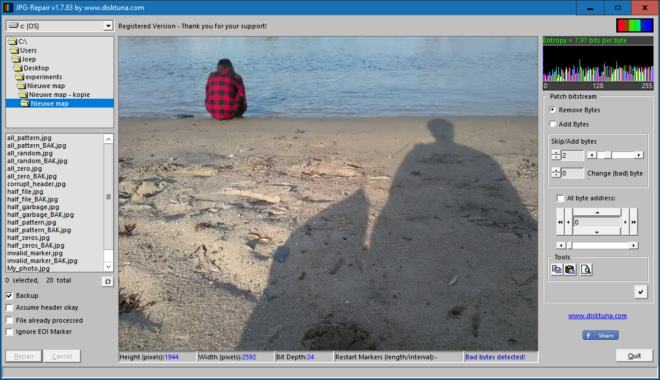 Diagnostics of damaged and corrupt JPEGs – DiskTuna // Photo Repair ...