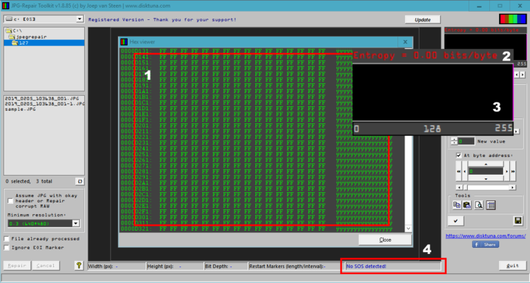 Diagnostics of damaged and corrupt JPEGs – DiskTuna // Photo Repair ...