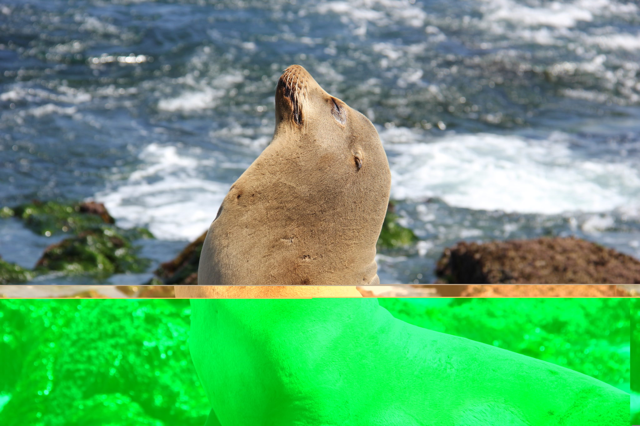 In the wild corrupted photos and their fixes – DiskTuna // Photo Repair ...